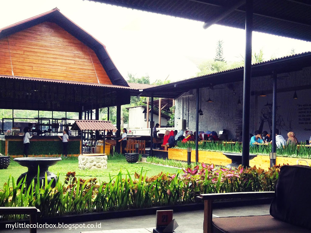 Momo Milk Barn | GOERS
